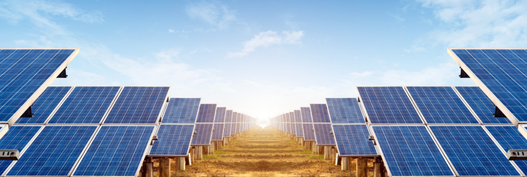 Sustainable Energy Company's Focused Export Outlook From Inception ...